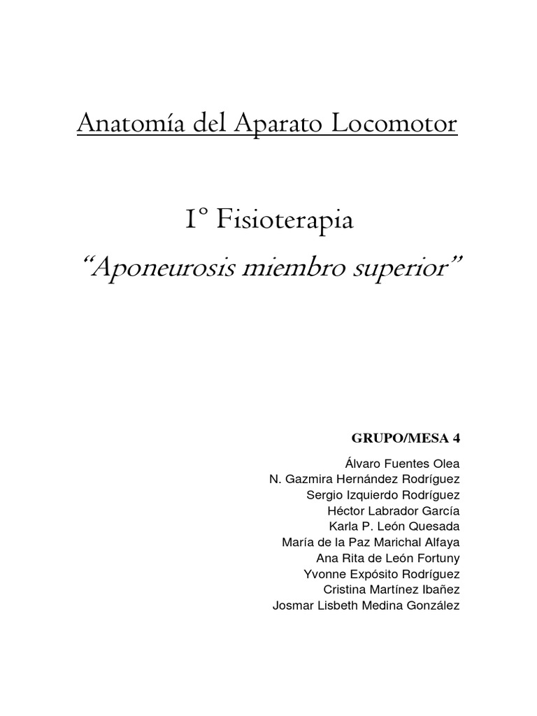 Aponeurosis del Miembro Superior | PDF | Mano | Sistema musculoesquelético