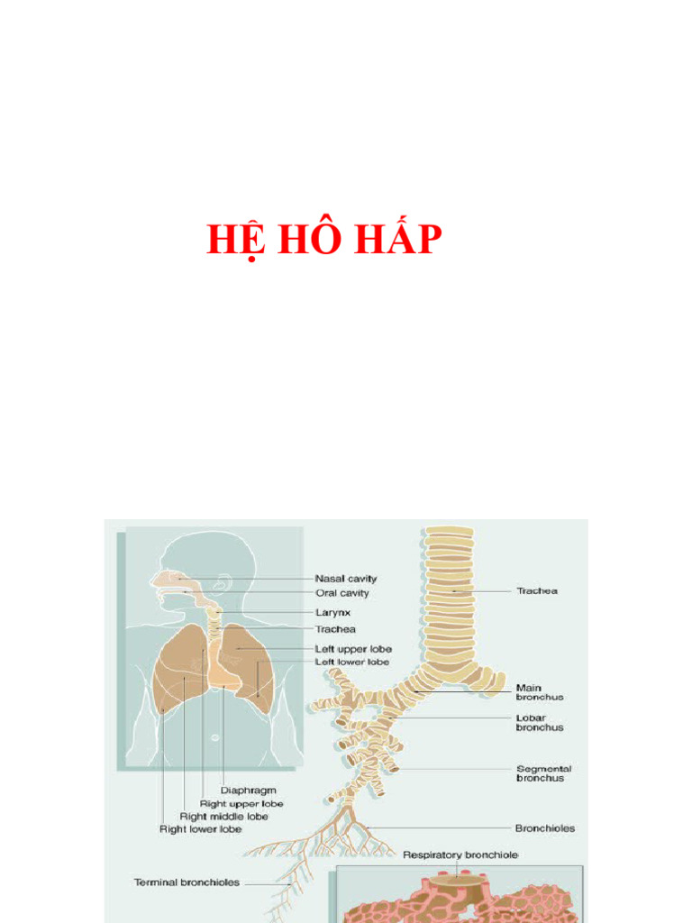 6 - He Ho Hap | PDF