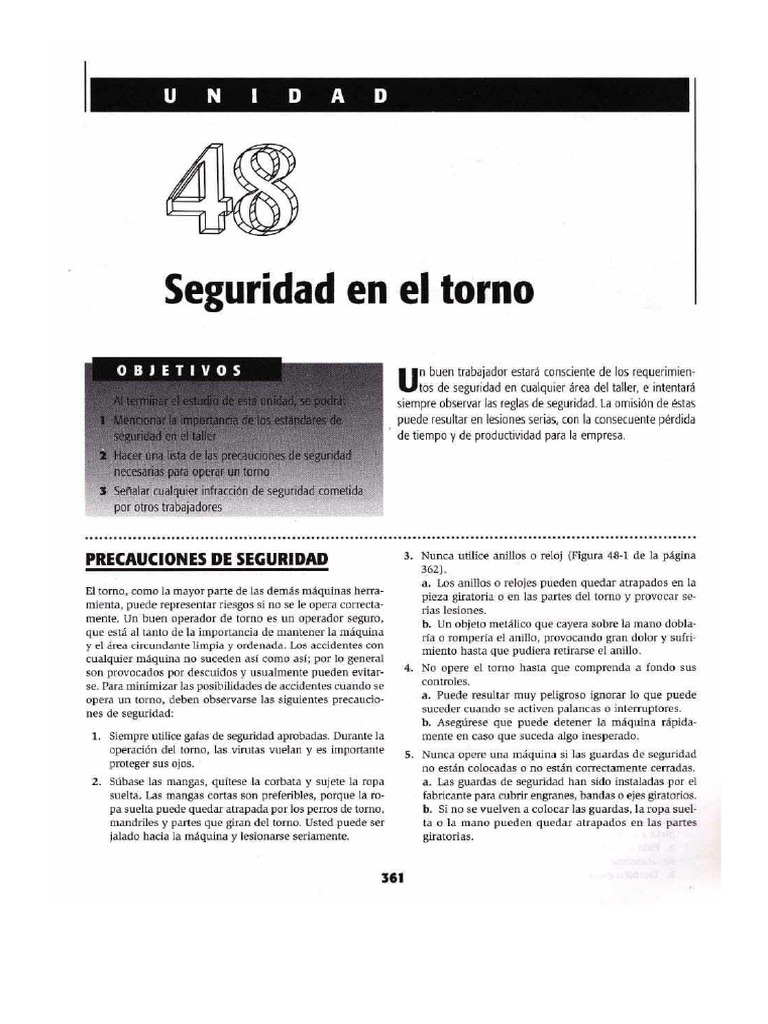 Seguridad en El Torno | PDF