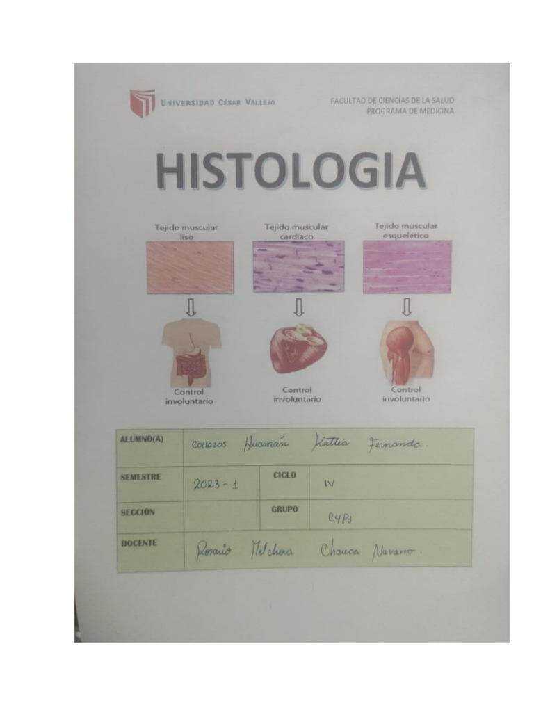 Histo Semana 14 A | PDF