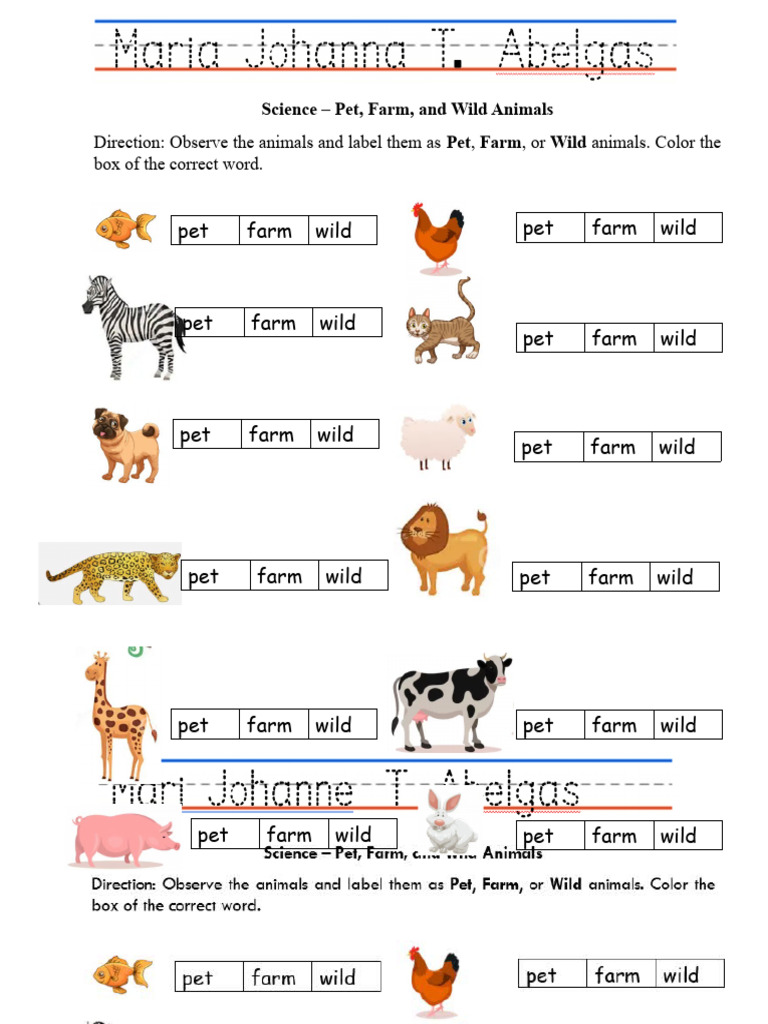 Pet, Farm, and Wild Animals Worksheet | PDF | Cooking, Food & Wine