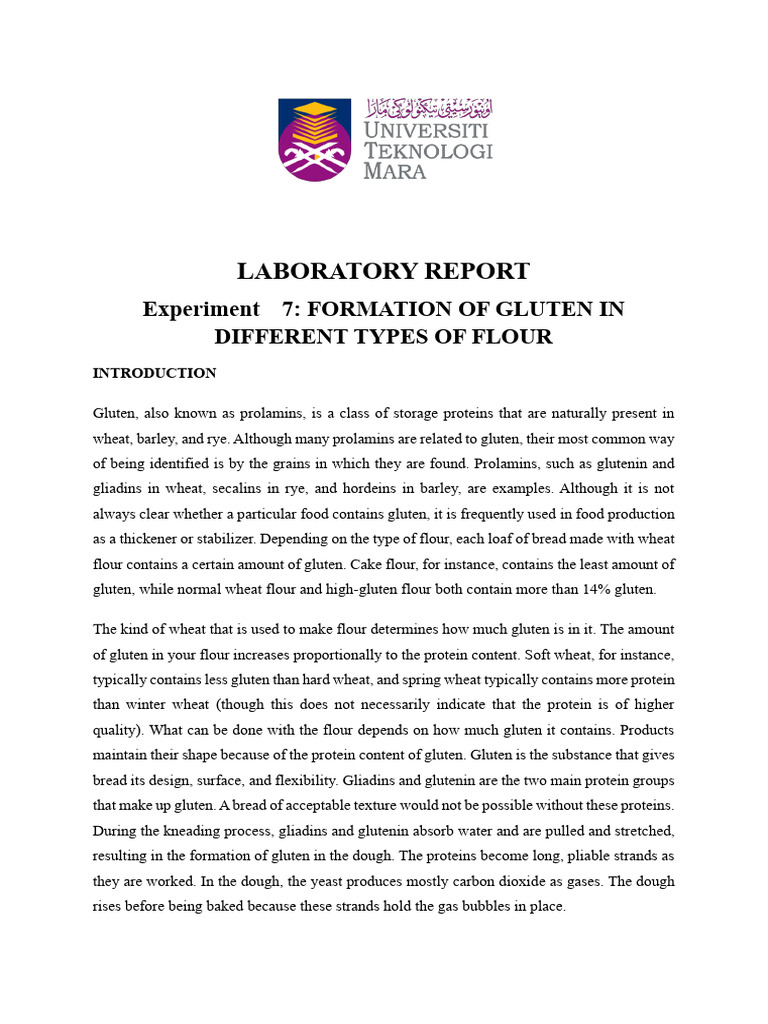 FST 261 (Experiment 7) | PDF | Gluten | Breads