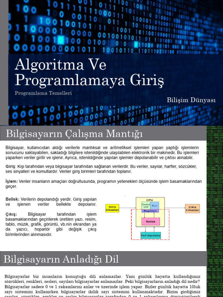 Algoritma Ve Programlamaya Giriş2 | PDF