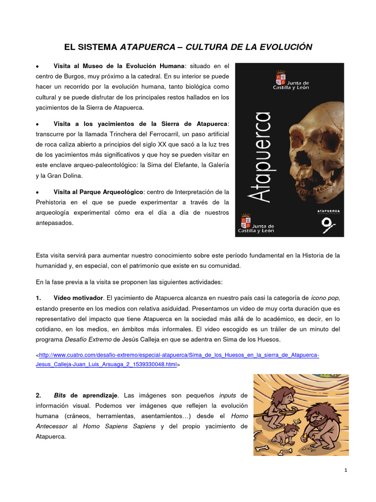 Sistema Atapuerca - Museo Evolución | PDF