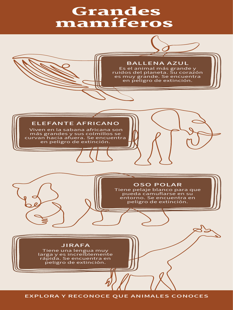 Infografía Grandes Mamíferos Biología Ilustrativo Línea Verde y Blanco ...