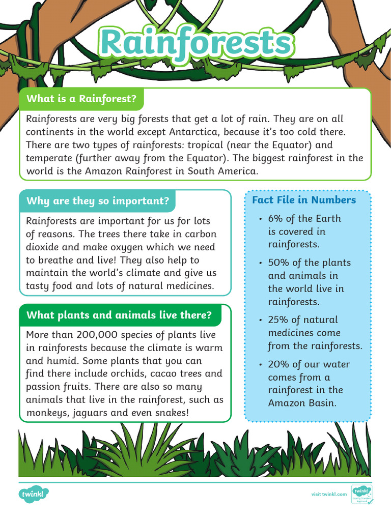 Rainforests | PDF | Rainforest | English As A Second Or Foreign Language