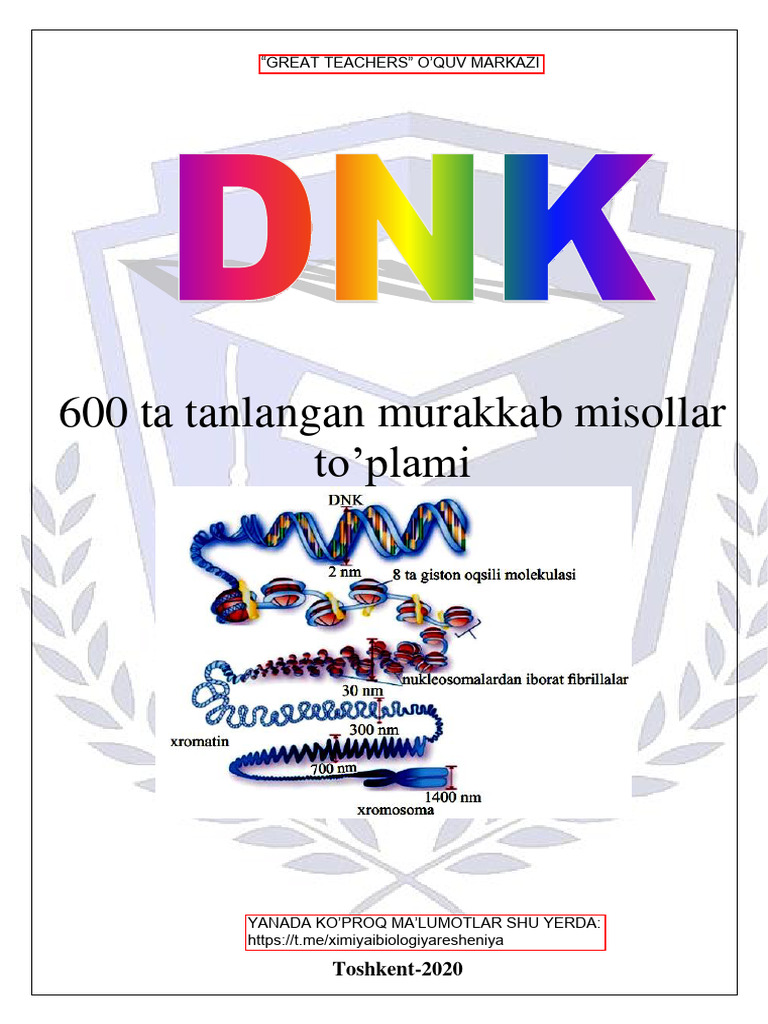 DNK 600 Masala Javobi Bilan | PDF