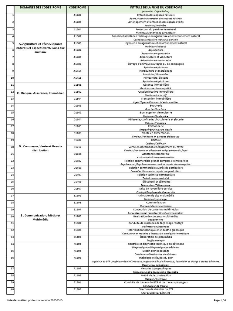 20230313-Liste-Des-Metiers-Porteurs BDR m1203 Code Rome | PDF ...