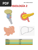 Resumen Capitulo 46 Guyton | PDF | Sinapsis | Neurona