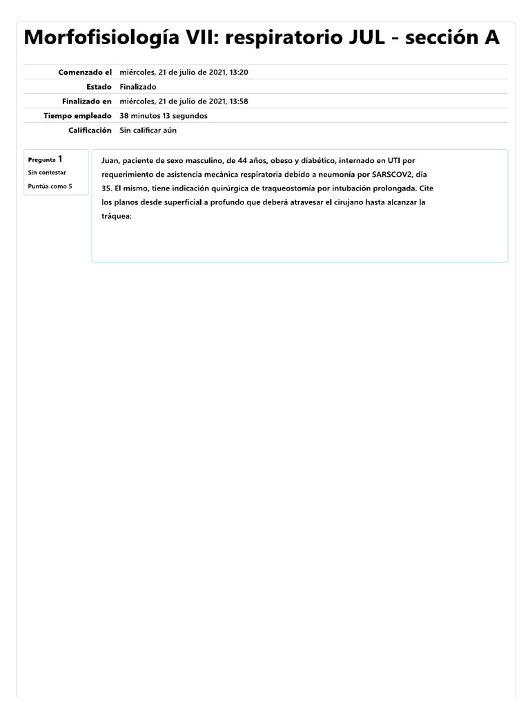 Examen Parcial de Morfo 7 | PDF