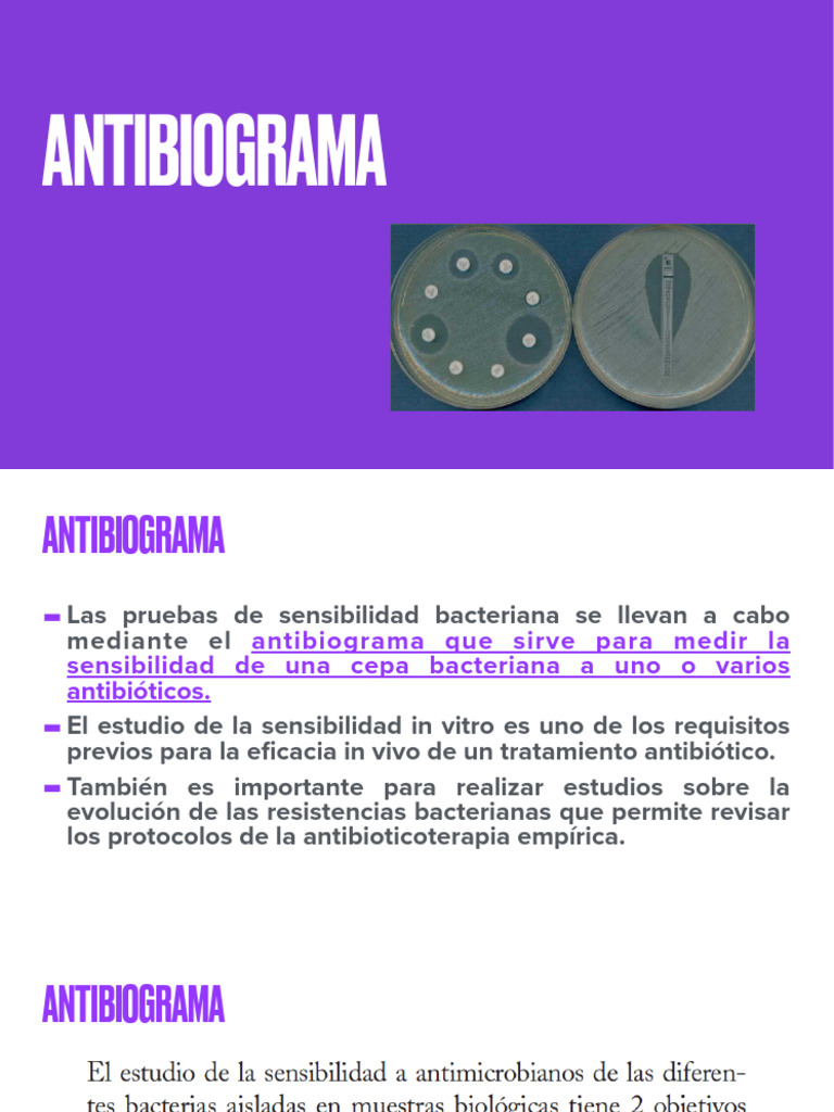 Clase 7 - Antibiograma | PDF | Microbiología | Microscopía