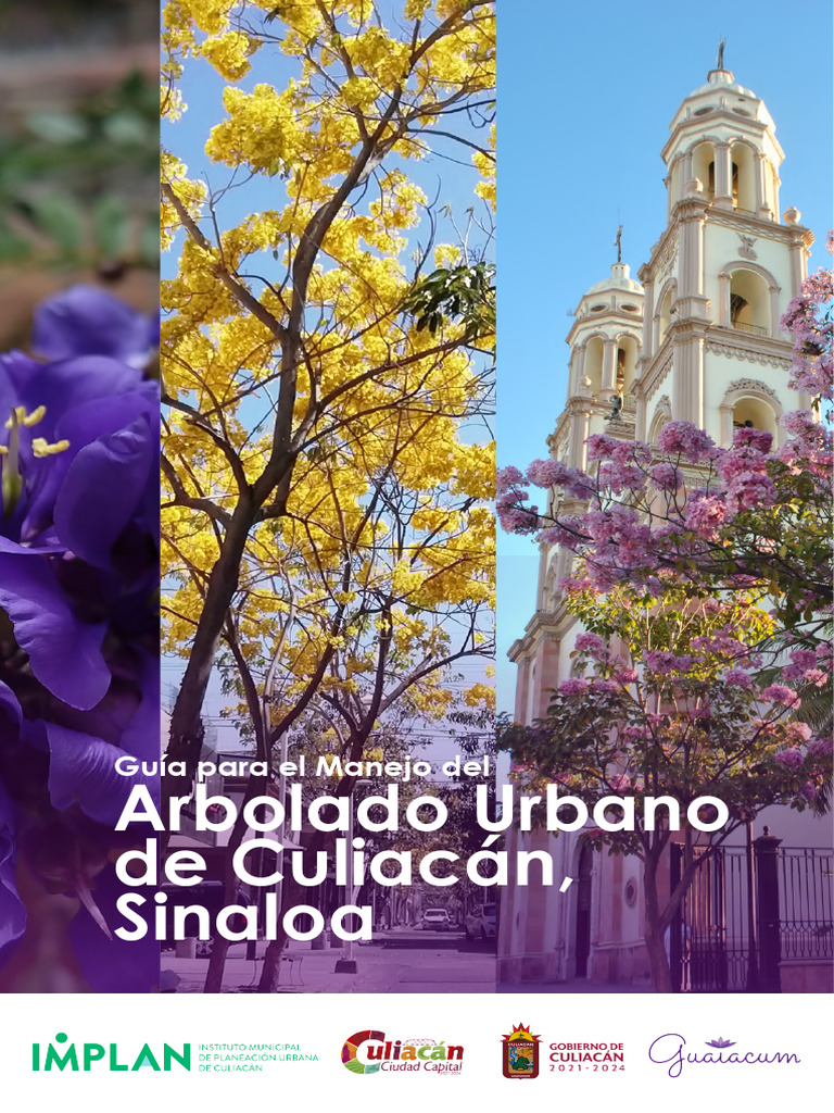 Guia para El Manejo de Arbolado de Culiacan | PDF | Arboles | Los bosques