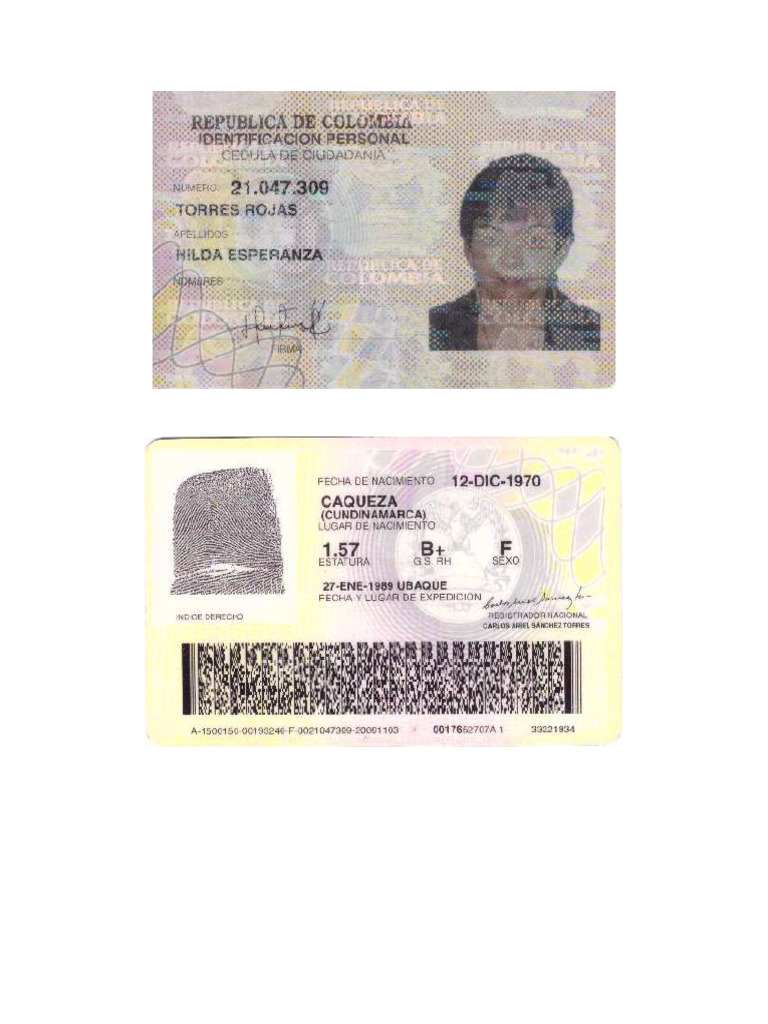 1 Cedula RL Clean | PDF