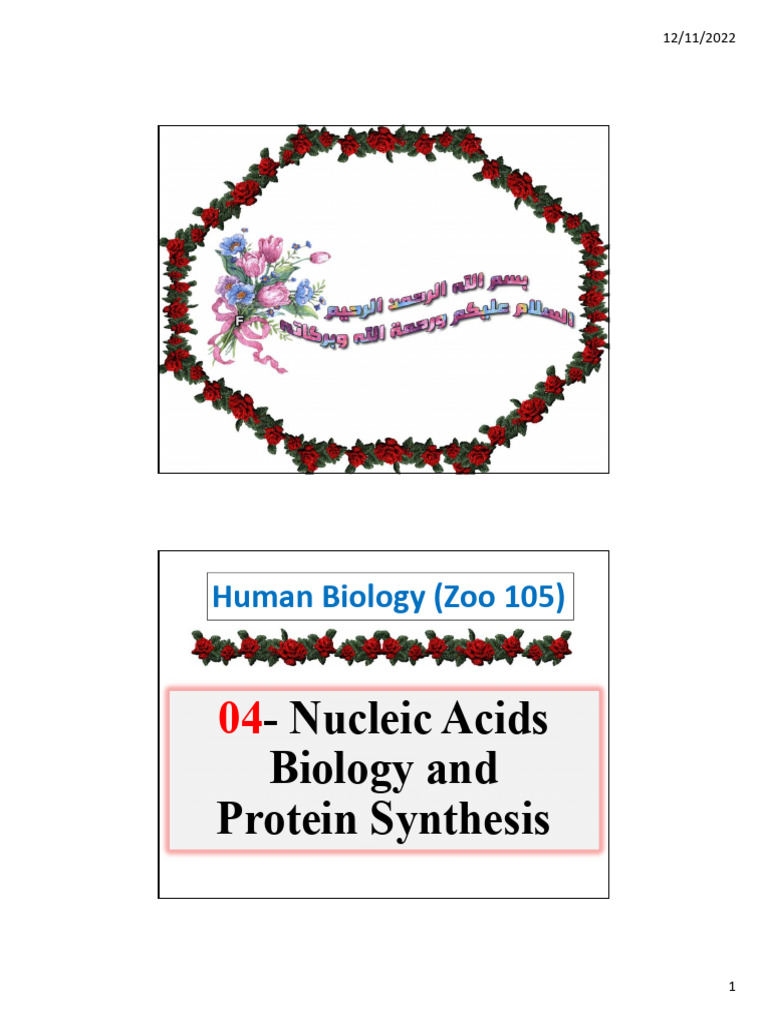 Lecture 4-DNA & RNA Structure | PDF | Rna | Nucleic Acids