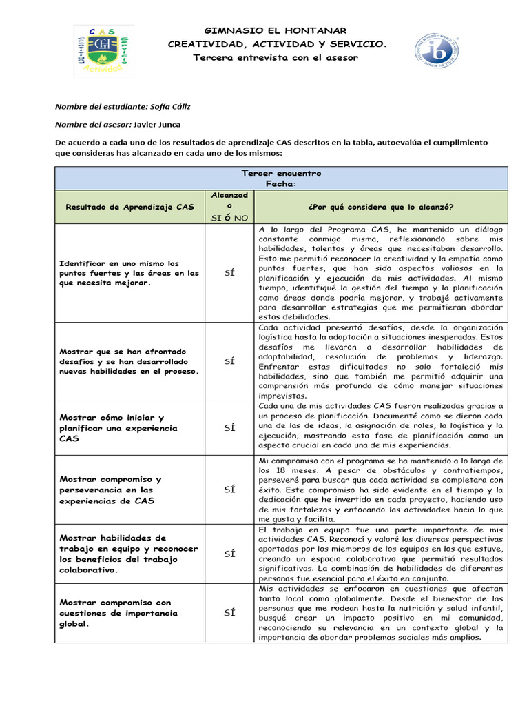 Tercera Entrevista Con El Asesor | PDF | Aprendizaje | Liderazgo
