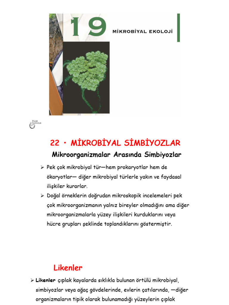 Cevre Mikrobiyolojisi Ders 9 | PDF