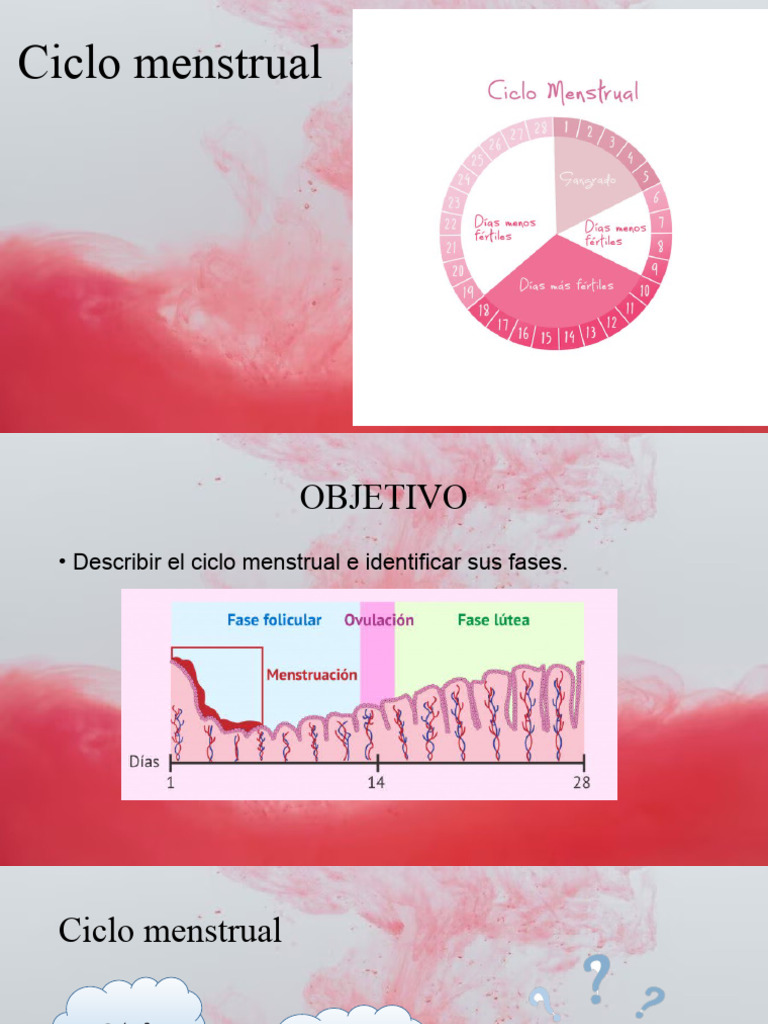 Ciclo Menstrual | PDF