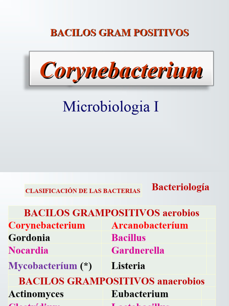 1 - PW Corynebacterium 2023 UNICEN | PDF | Especialidades Medicas ...