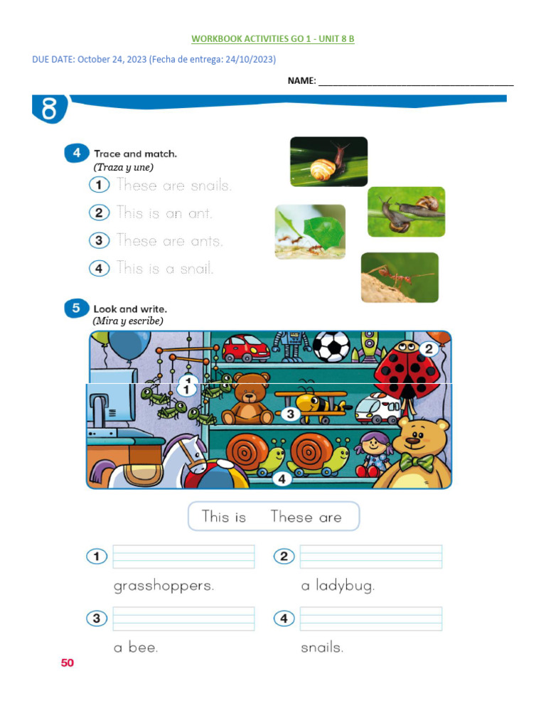 Workbook Activities Unit 8 B | PDF