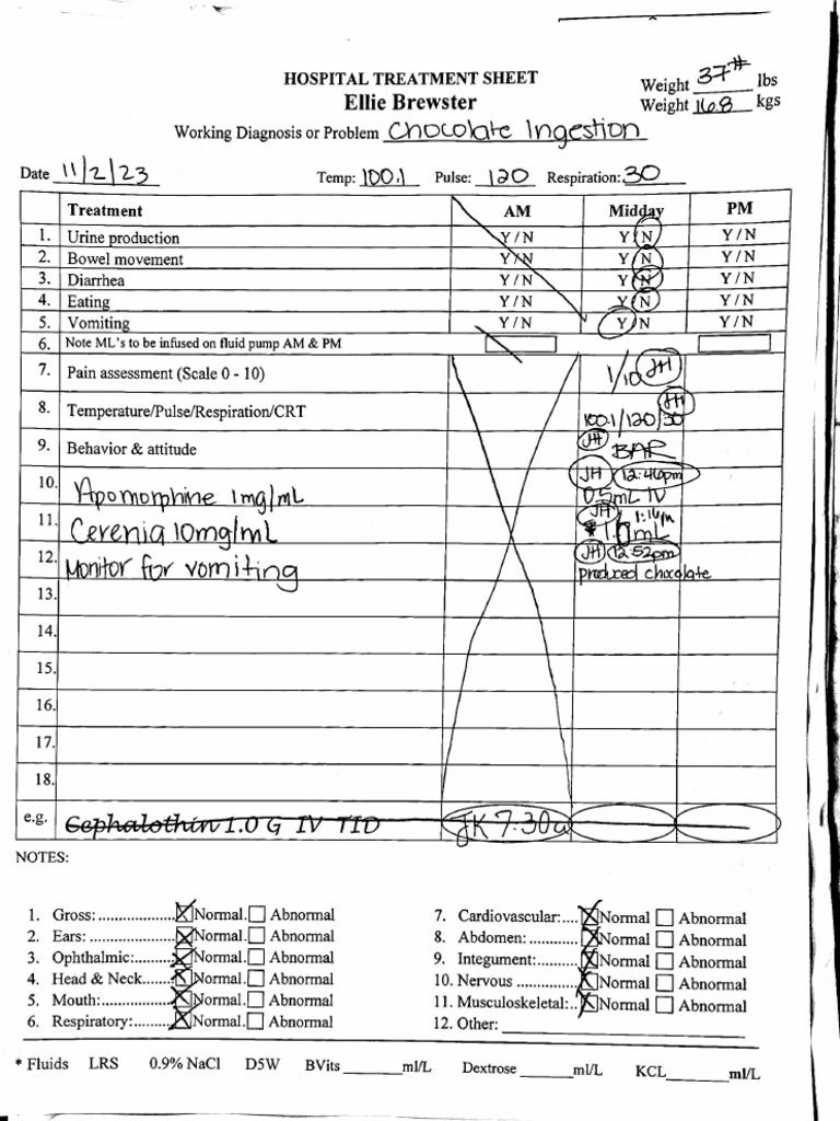 Anesthesia Form | PDF