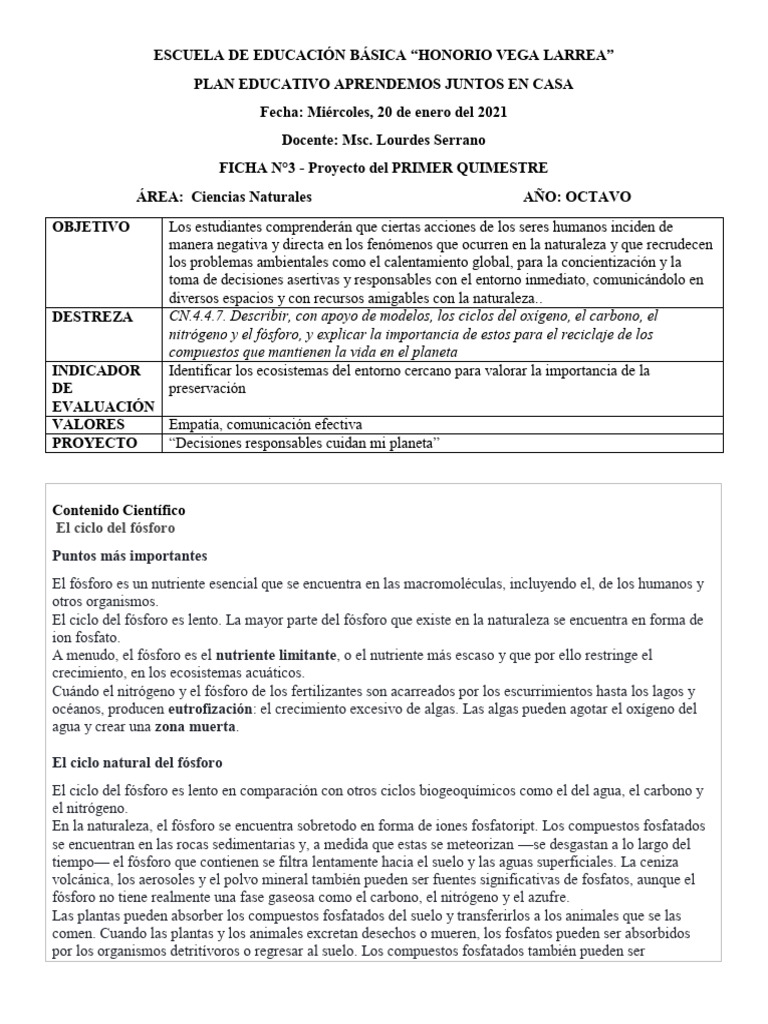 Ficha 3-ccnn 8-Proyecto | PDF | Suelo | Fertilizante