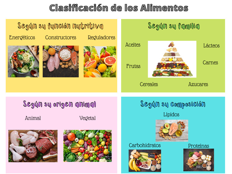 Clasificación de los alimentos | PDF