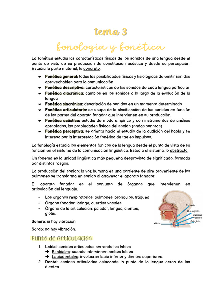 Tema 3 Fonetica y Fonologia | PDF | Fonética | Escritura
