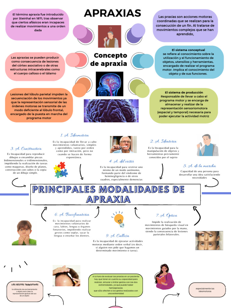 Apraxias Organizador Visual | PDF | Sistema nervioso | Medicina CLINICA