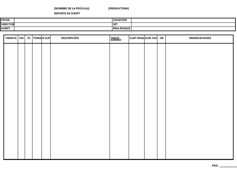 Formato Reporte Script | PDF
