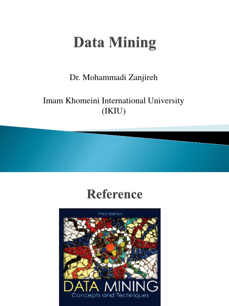 Data Mining Presentation | PDF | Data Mining | Accuracy And Precision