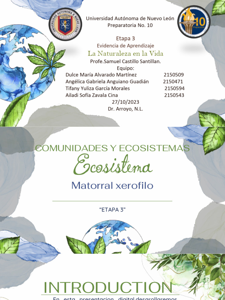 Matorral Xerófilo: Ecosistema y Conservación | PDF | Desierto | Contaminación