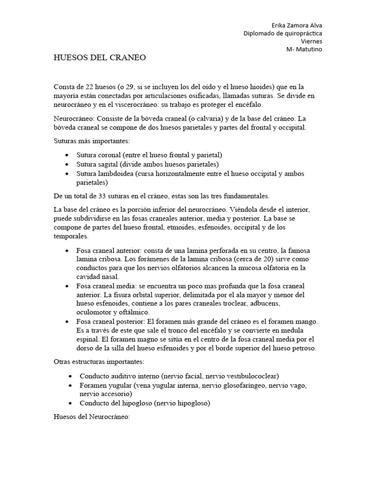 Huesos Del Craneo Pdf Cráneo Anatomía Humana