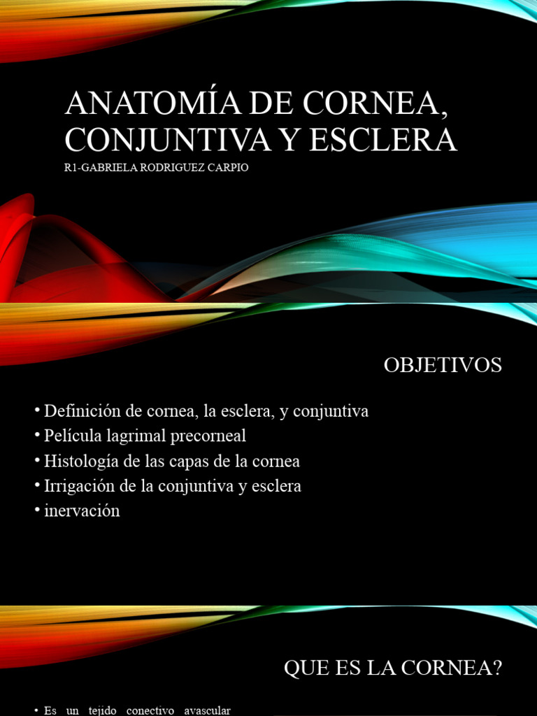 Anatomía de Cornea, Esclera, Conjuntiva | PDF | Córnea | Epitelio