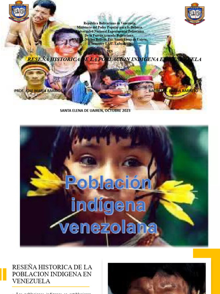 Presentación - Pueblos Indigenas | PDF | Venezuela | Gente indígena