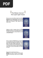 Oraphim and the Emerald Order Explained | PDF | Sun | Dna