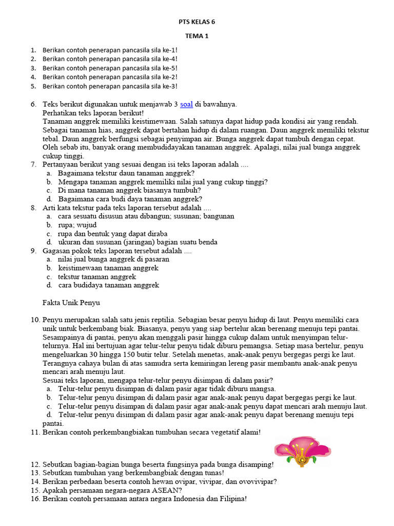 Soal Pts Tema 1 Kelas 6 | PDF