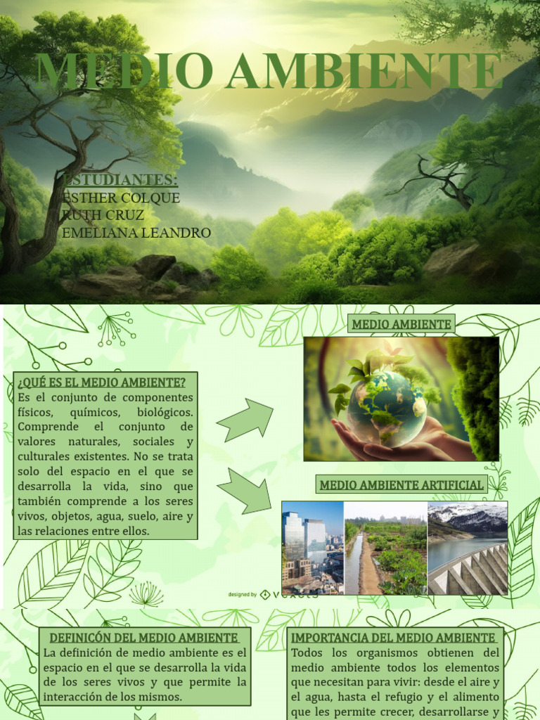 Importancia y Contaminación del Medio Ambiente | PDF | Entorno natural ...