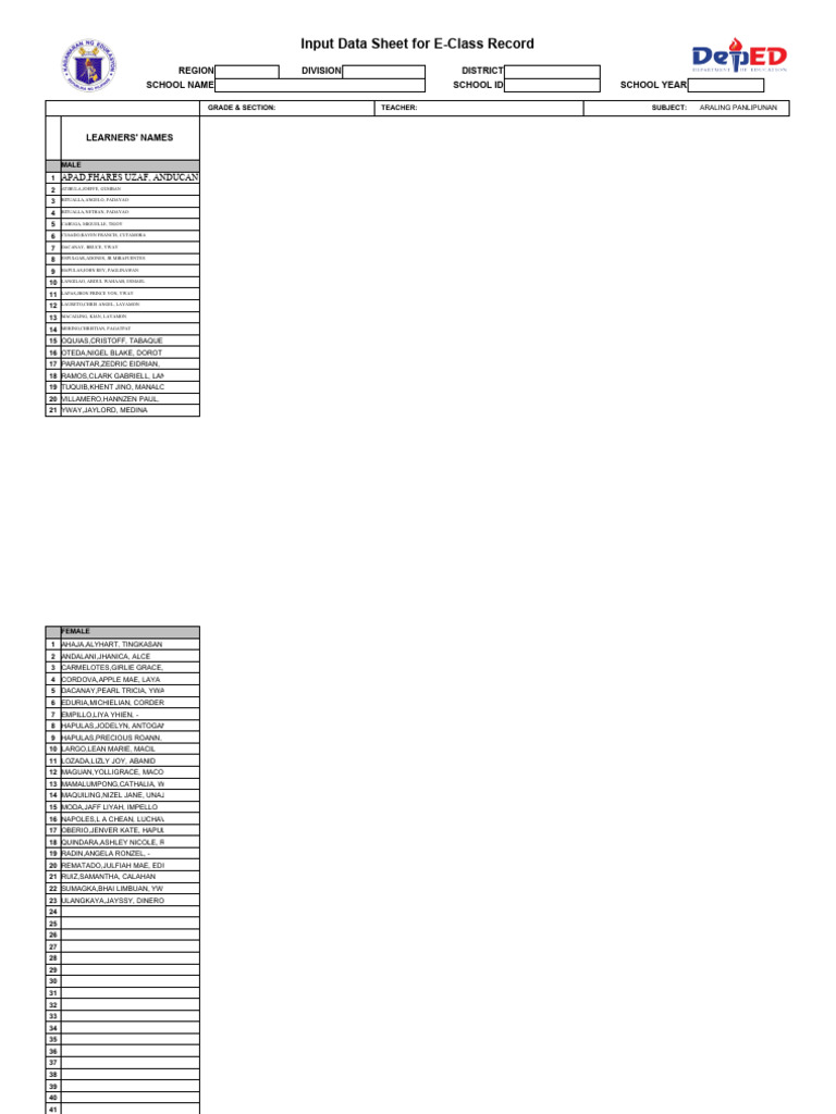 E-Class Record Input Sheet | PDF