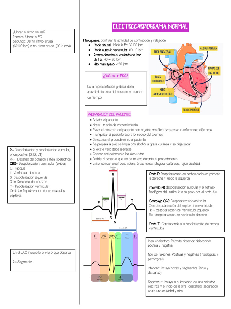Electrocardiograma Normal | PDF | Electrocardiografia | Pruebas medicas
