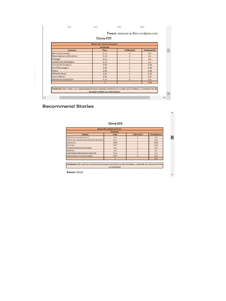 Matriz Efe y Efi | PDF