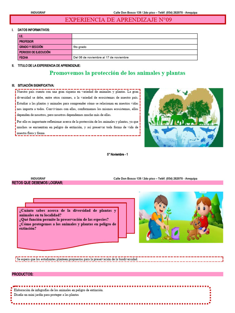 5° Grado - Experiencia de Aprendizaje N°09 | PDF | Aprendizaje | Información