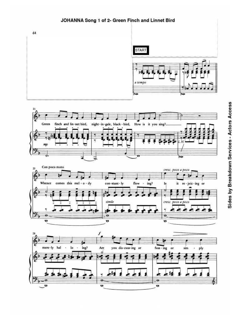 Johanna Sides for Sweeney Todd Callback | PDF | Art | Mystery, Thriller & Crime Fiction