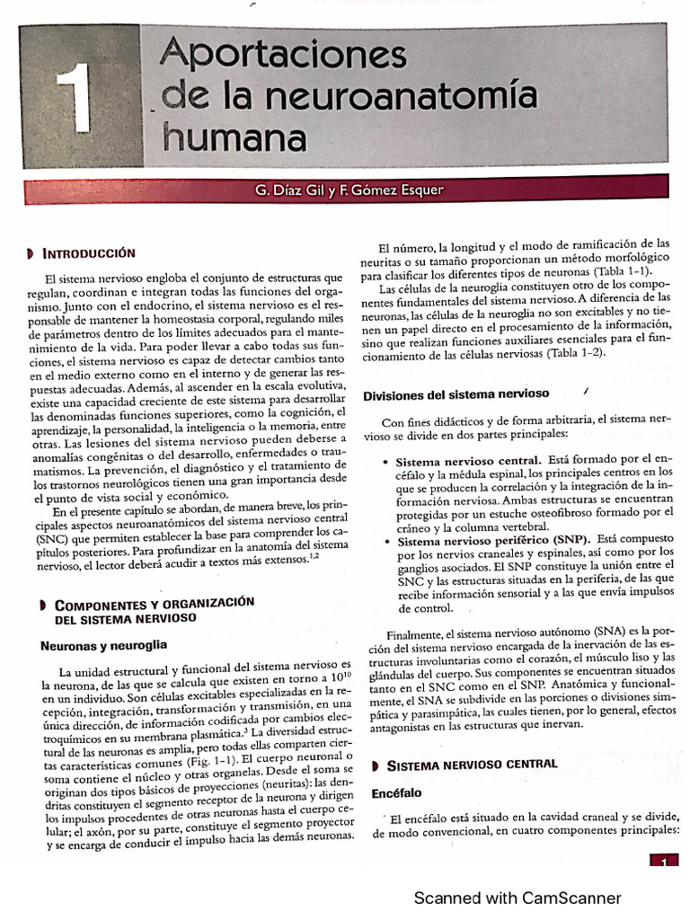 Neurrorehabilitación. Métodos Especificos de Valoración y Tratamiento | PDF