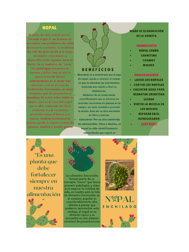 Triptico Nopal | PDF