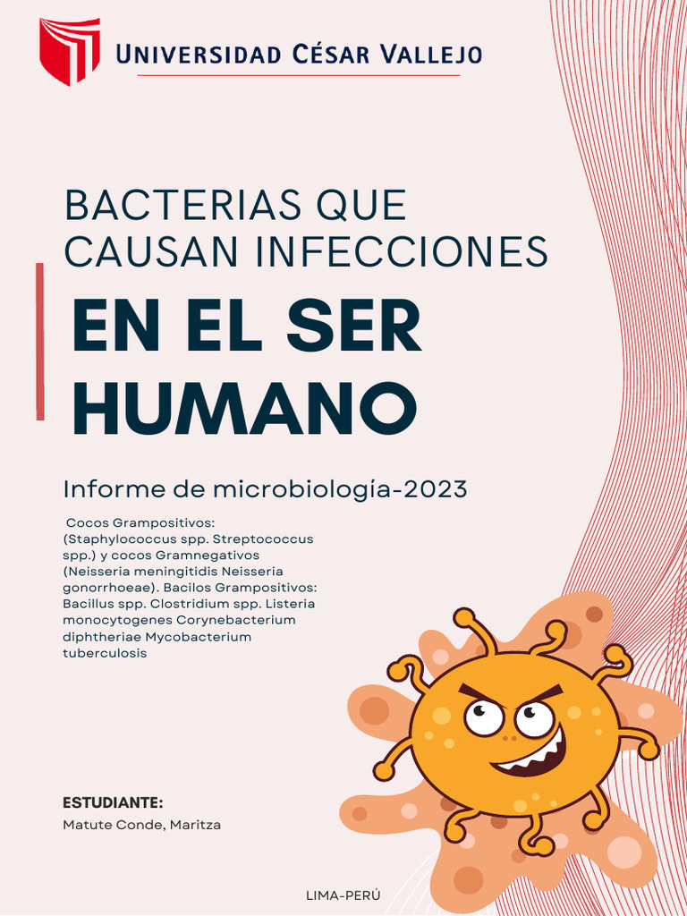 Bacterias Que Causan Infecciones en El Ser Humano | PDF | Bacterias ...