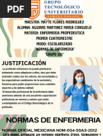 NORMA Oficial Mexicana NOM-025-SSA3-2013, para La Organización y ...