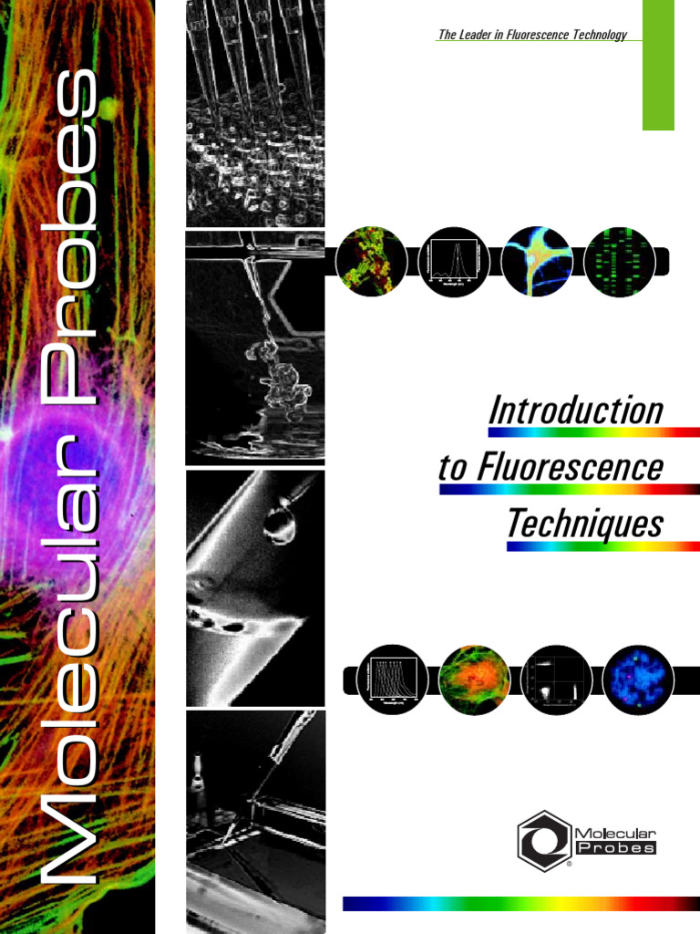 Fluorescence Molecular Probes Pdf Fluorophore Fluorescence Microscope
