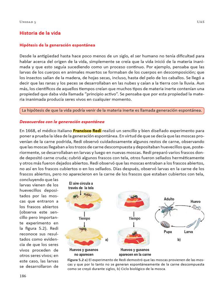 El Origen de La Vida - Recopilación PDF | PDF | Abiogénesis | Biología Celular)