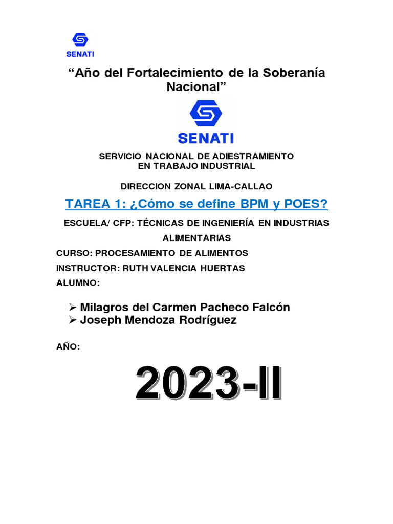 Tarea 1 BPM y Poes | PDF | Marketing | Business