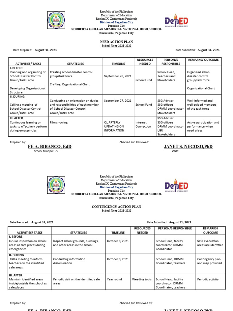 NSED Action Plan 2021-2022 Overview | PDF